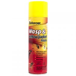 Zep Enforcer Wasp & Yellow Jacket Foam – Conklin Metal Industries